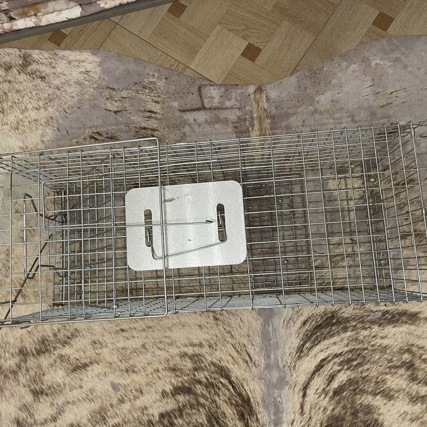 Котолока автоматическая