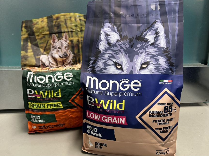Monge bwild для собак