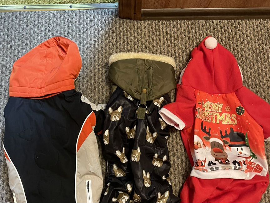 Одежда для собак