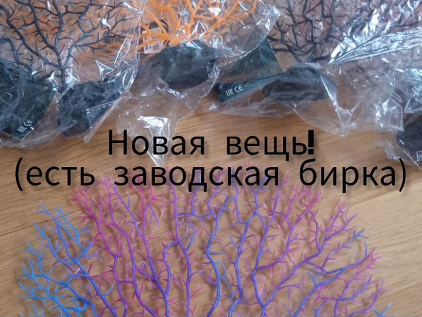 Декоративные водоросли