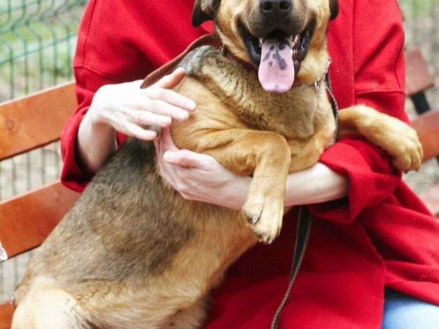 Евочка очень ждет хозяина