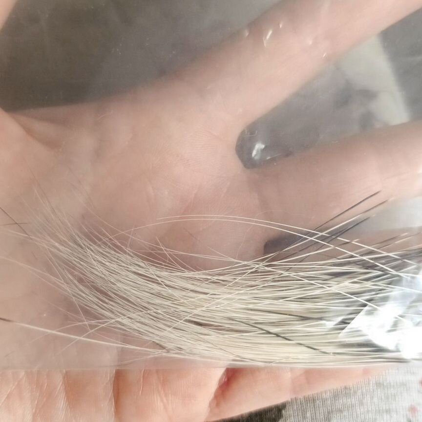 Кошачьи усы