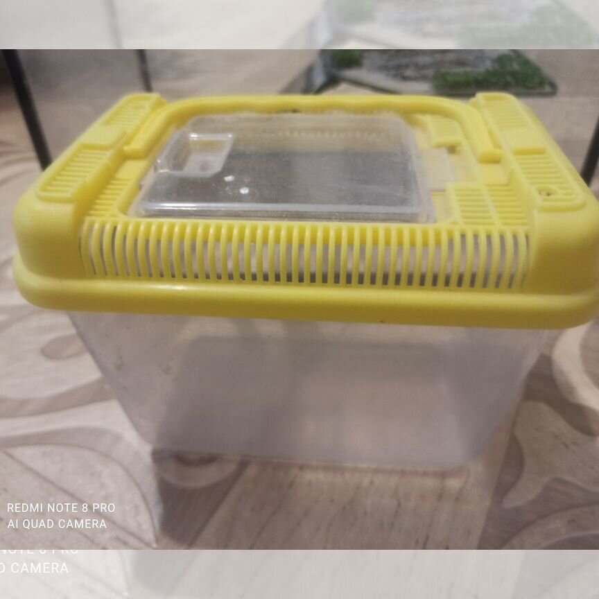 Переноска для черепах