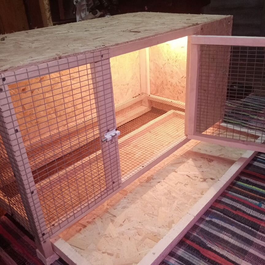 Брудер для цыплят