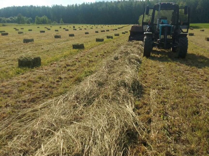 Сено в тюках