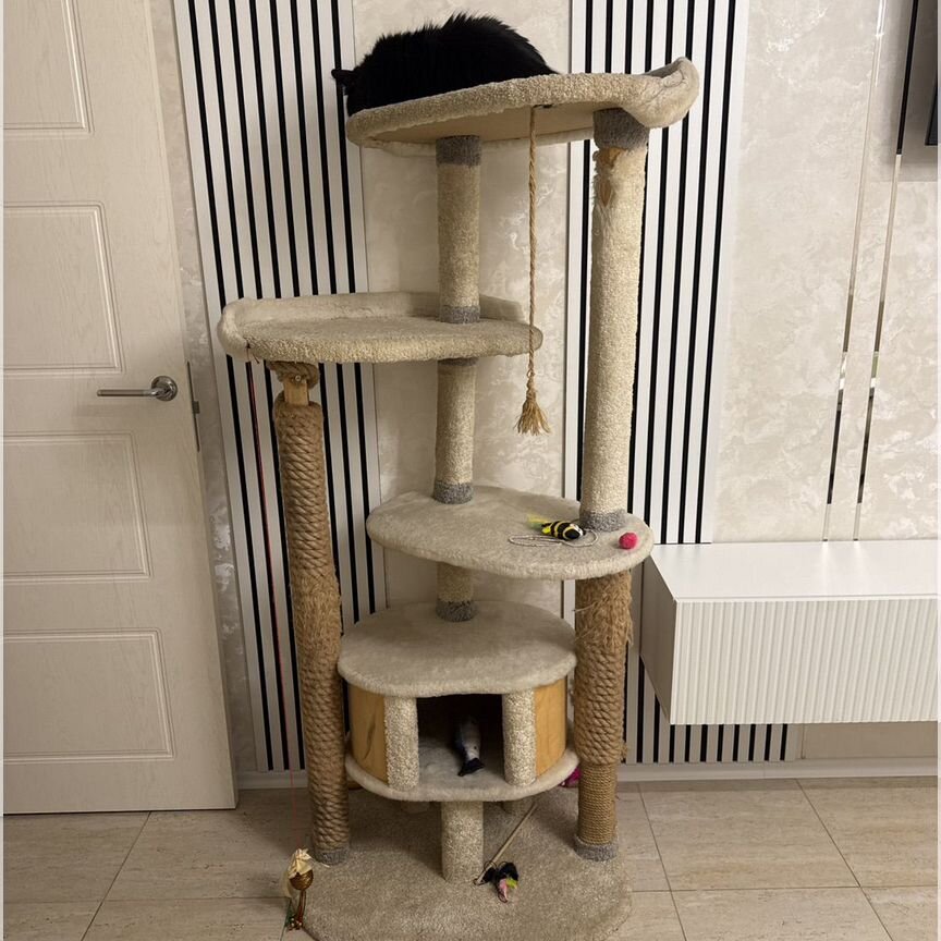 Когтеточка домик для кошки бу