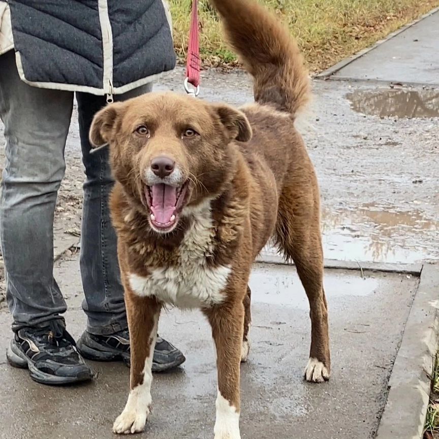 Чудесная девочка, похожа на мишку