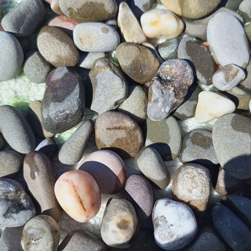 Камни для аквариума