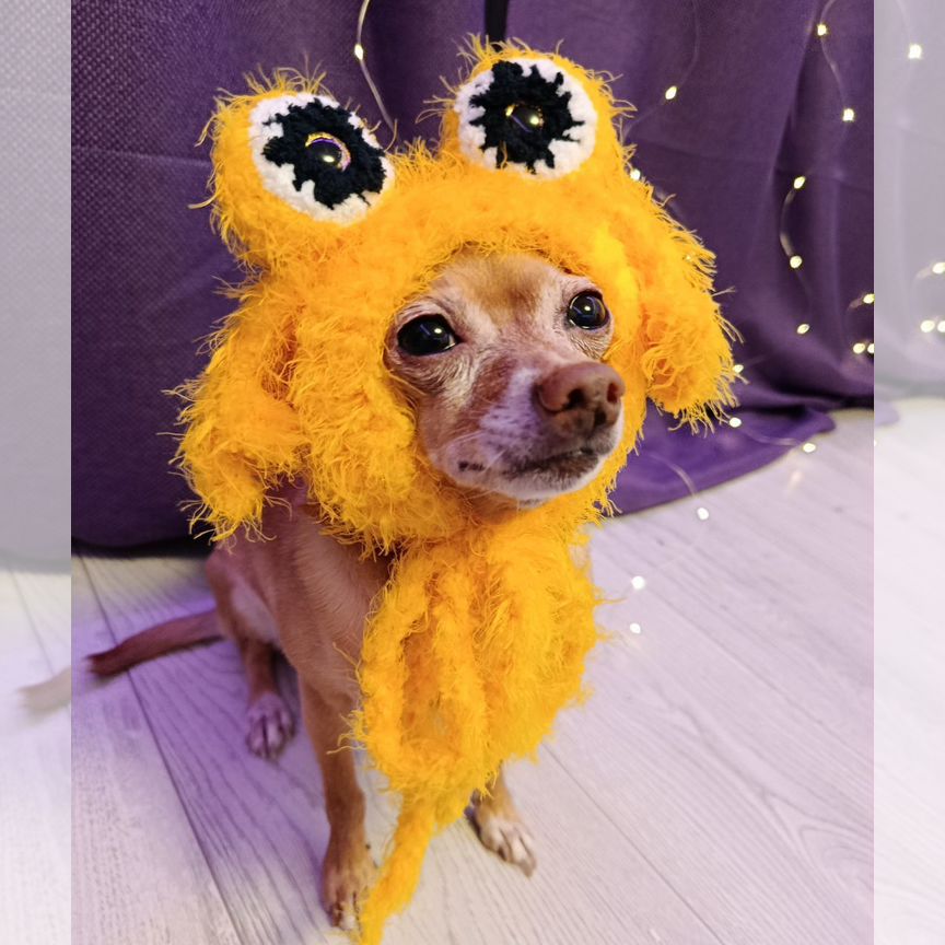 Одежда для собак