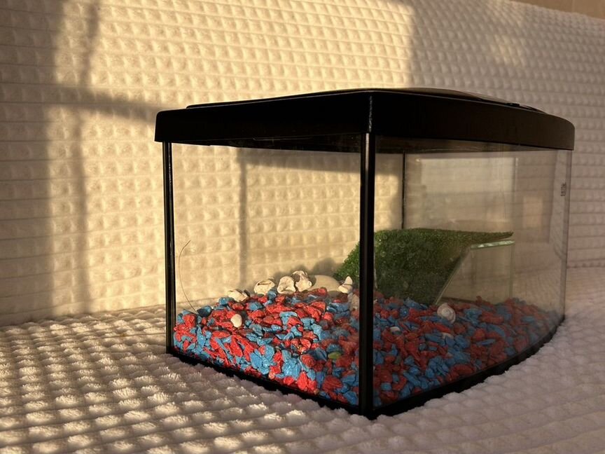 Аквариум для морских черепах