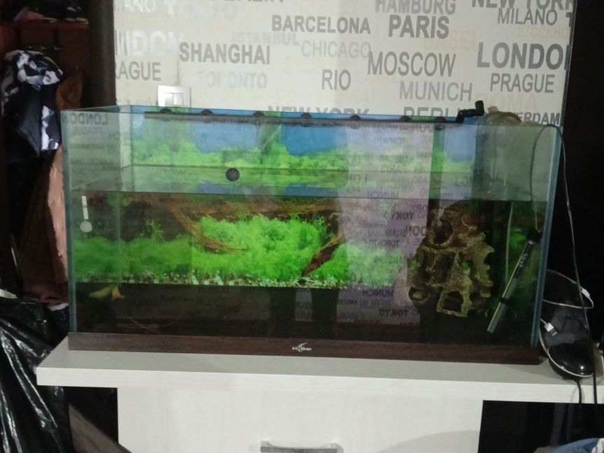Аквариум 250 литров+полный комплект