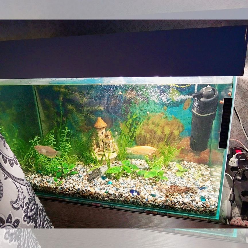 Аквариум 100 литров