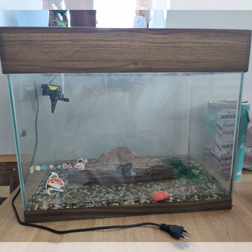 Аквариум с одной рыбкой