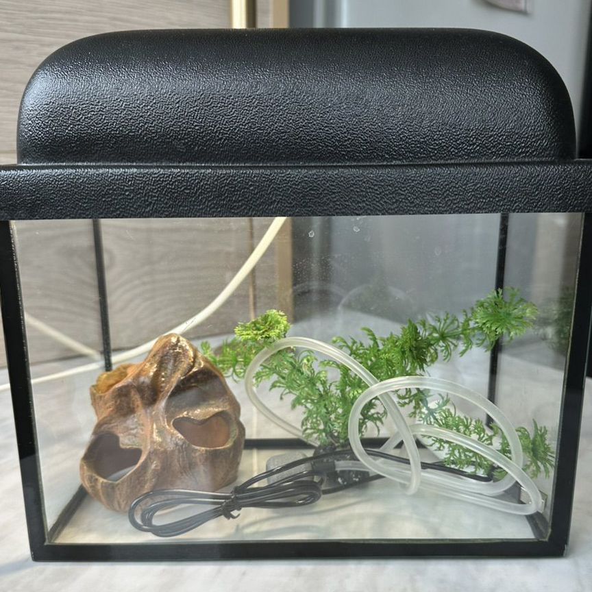 Аквариум для рыбок