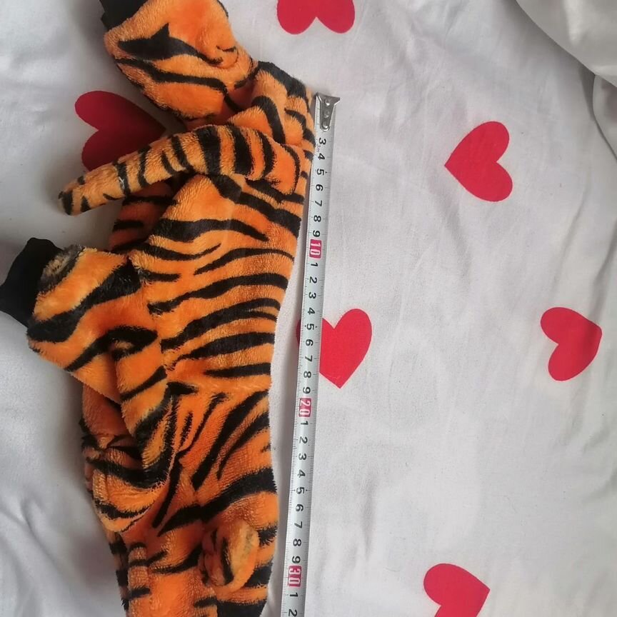 Костюм и рубашка для котов