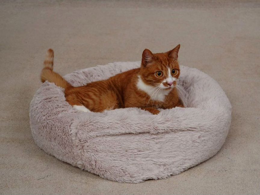 Лежанка для кошки / Когтеточка для кота