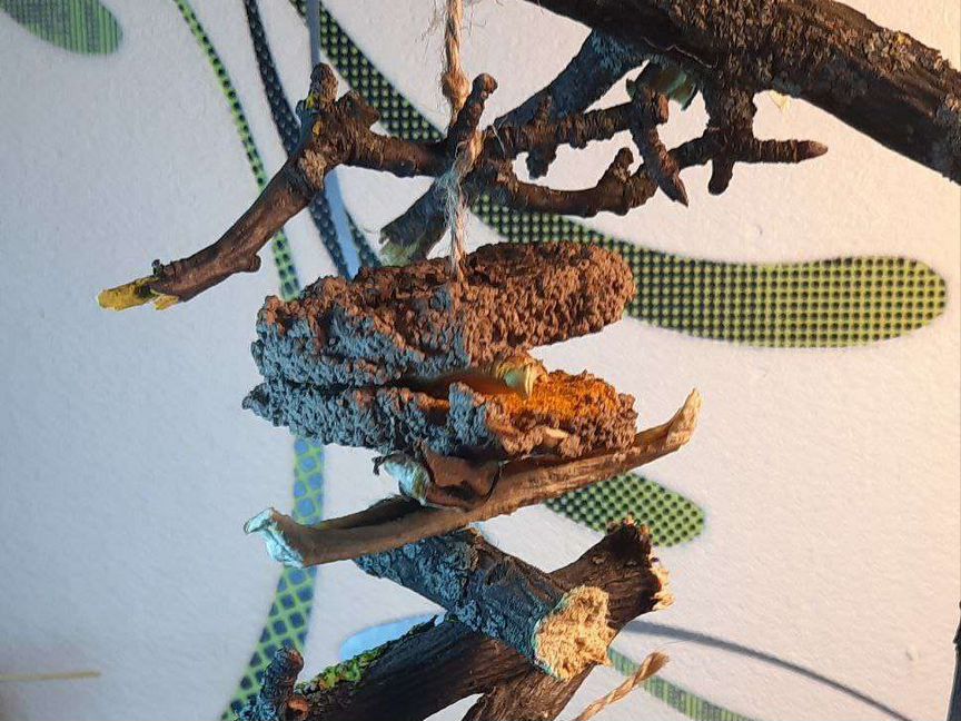 Игрушки для птиц из глины, веток