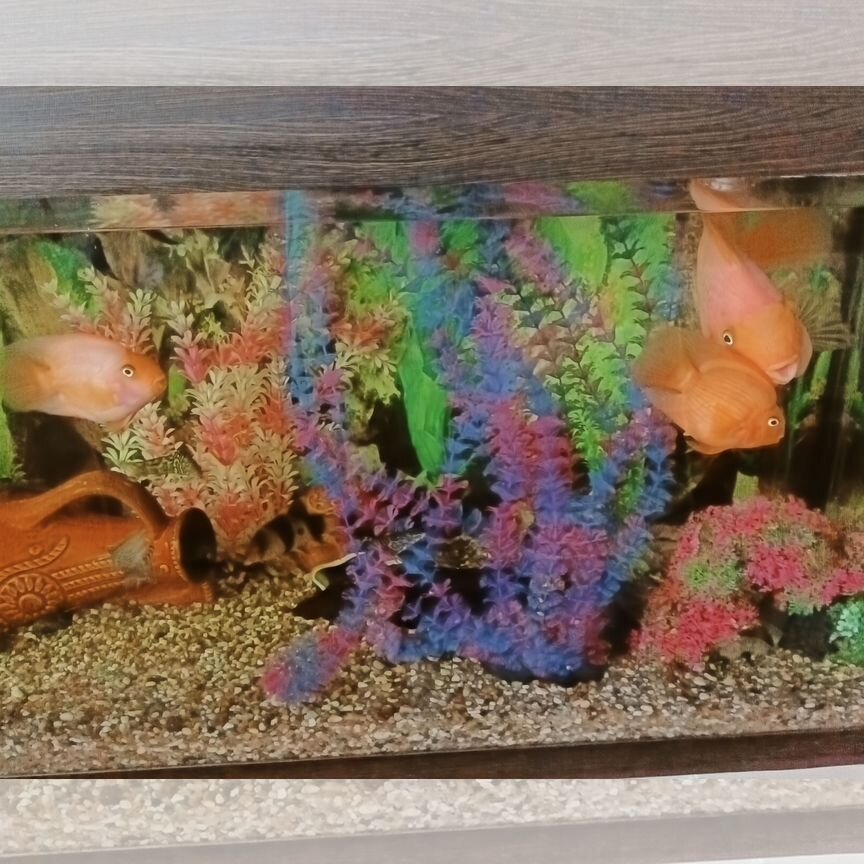 Аквариум 250л с рыбками и оборудованием