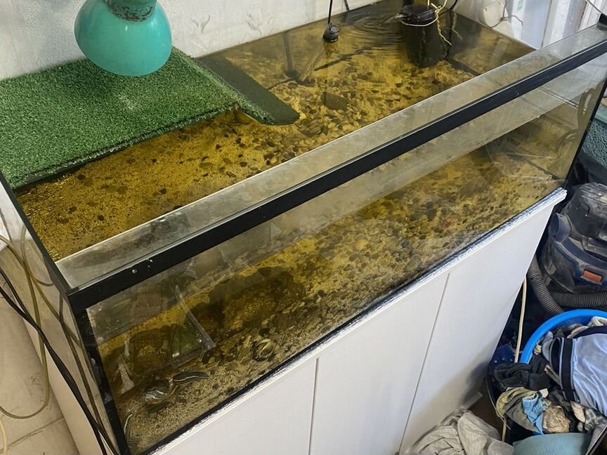 Аквариум для красноухой черепахи