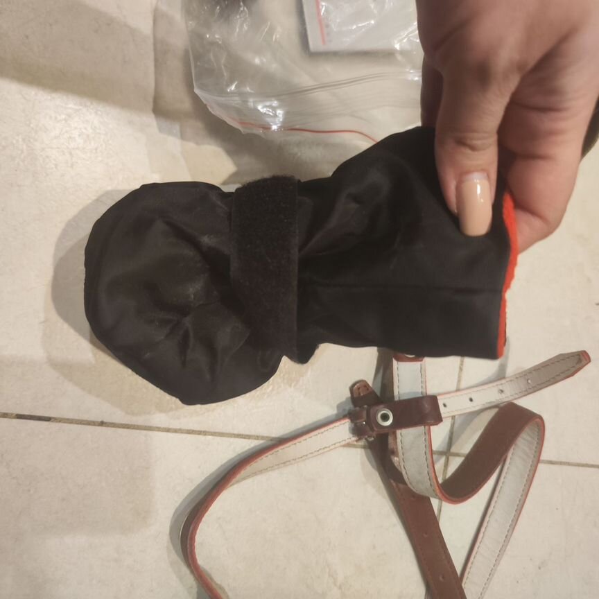 Тапочки для собак