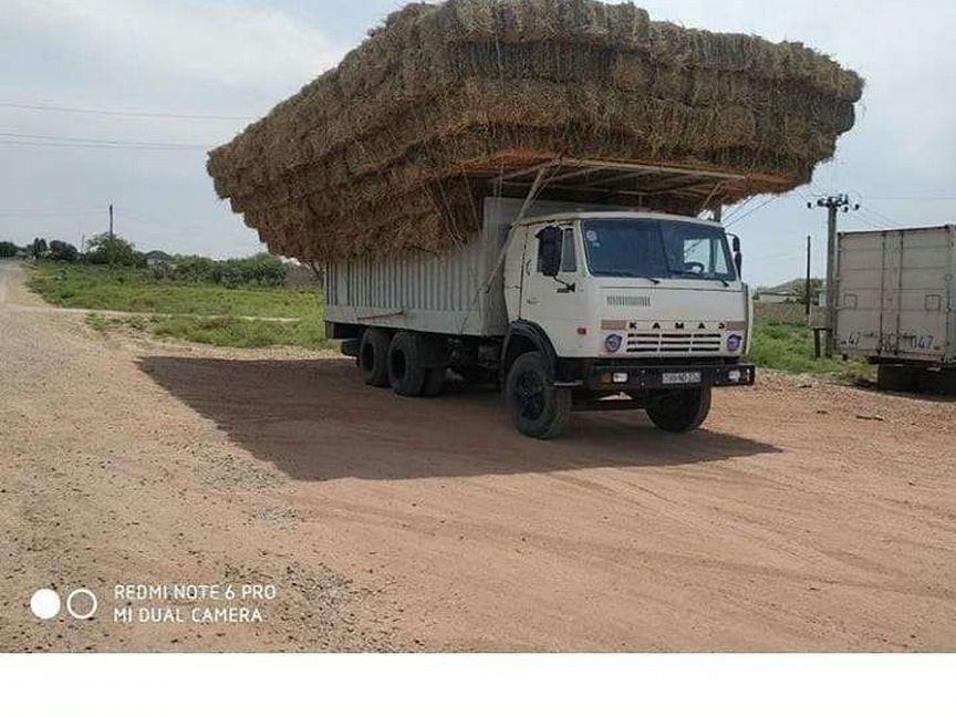 Сено в тюках