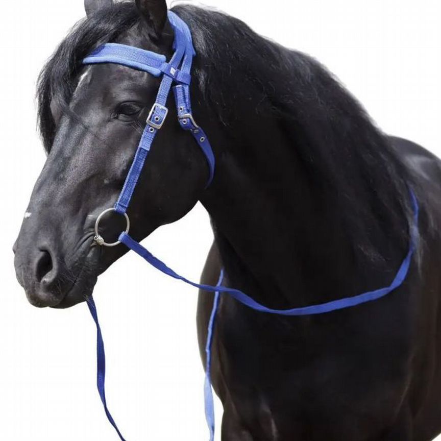 Конная амуниция