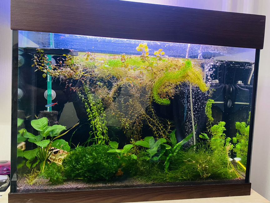 Аквариум 100 литров