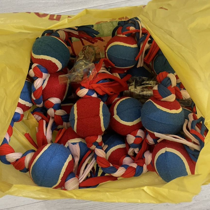 Игрушки для собак одинаковые