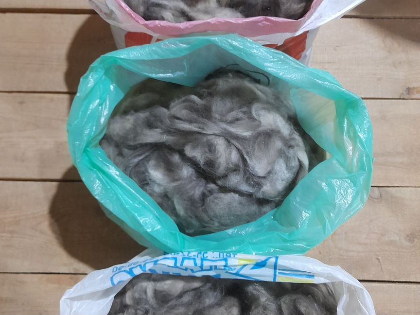 Пух шерсть Тибетского Мастифа