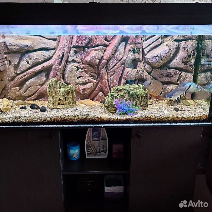 Аквариум 320л