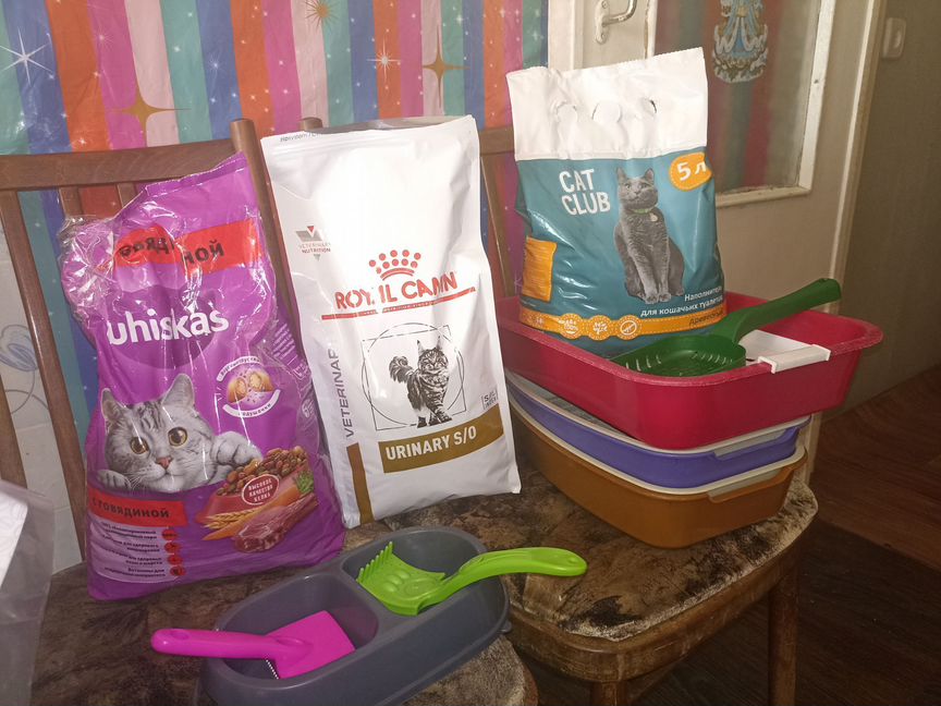 Сухой корм для кошек royal canin уринари