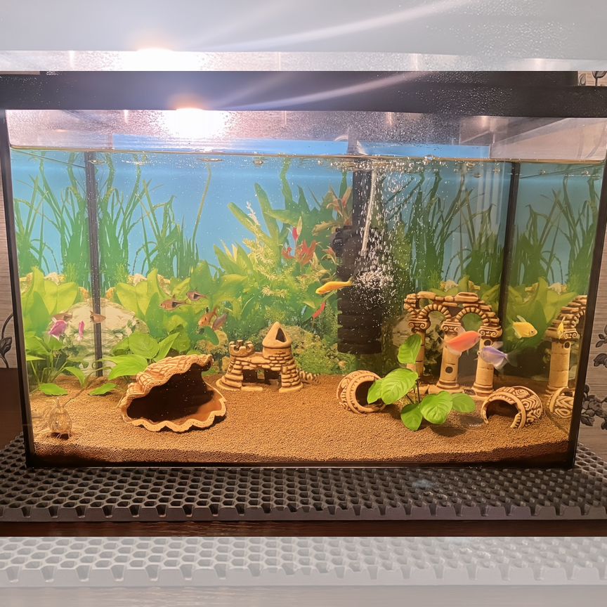 Аквариум с рыбками