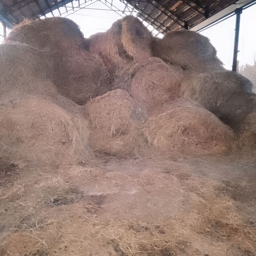 Сено в рулонах
