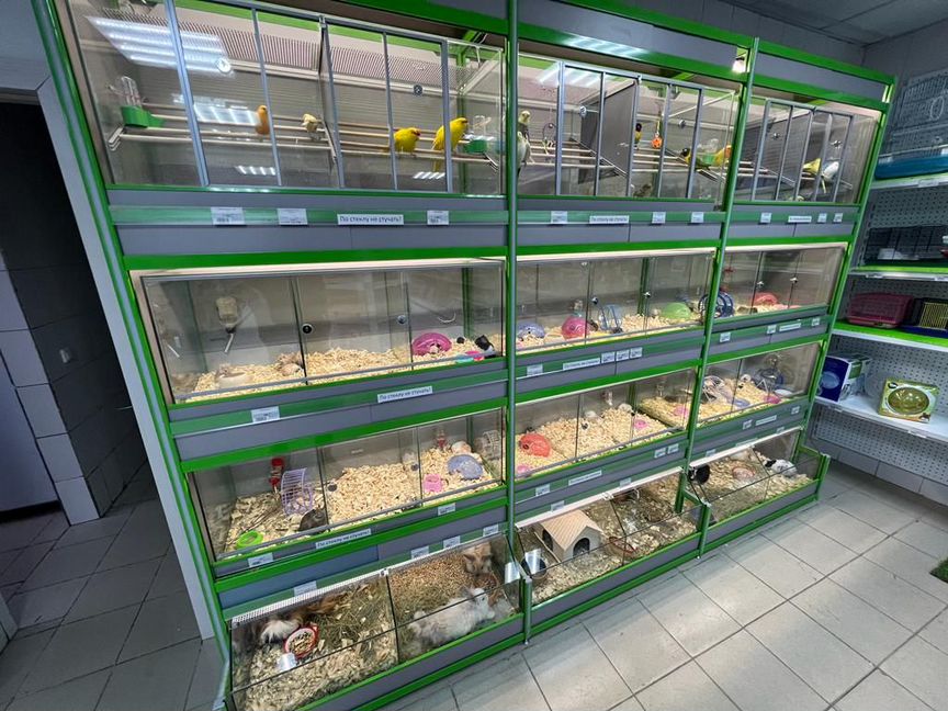 Стойка для животных и птиц в зоомагазин