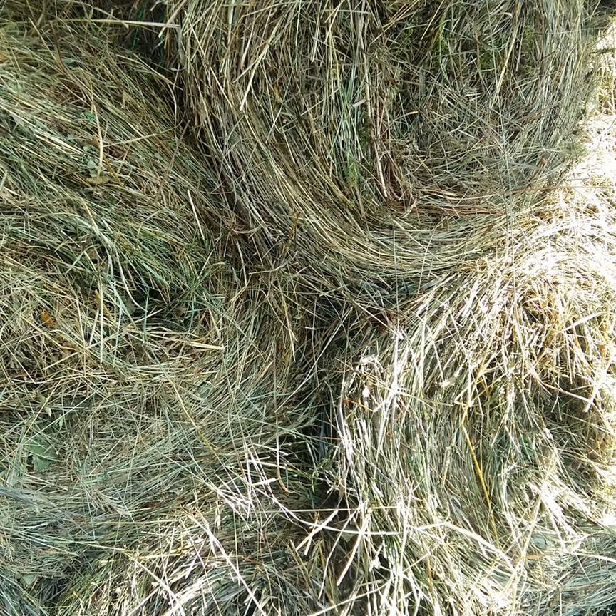 Сено В мини рулонах