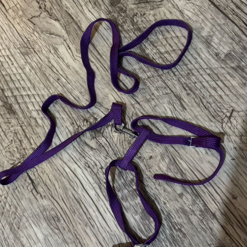 Шлейка для кошки