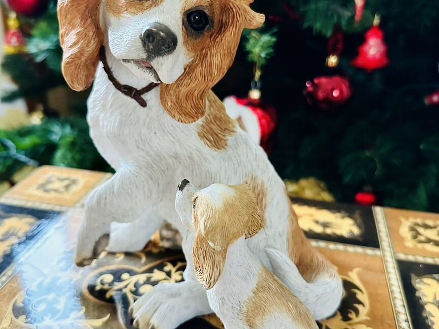 Кавалер кинг чарльз спаниель с щенком Англия