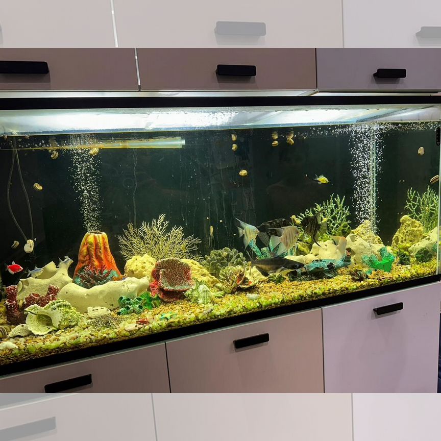 Аквариум 360 литров