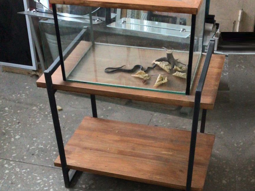 Аквариум-террариум 50 литров