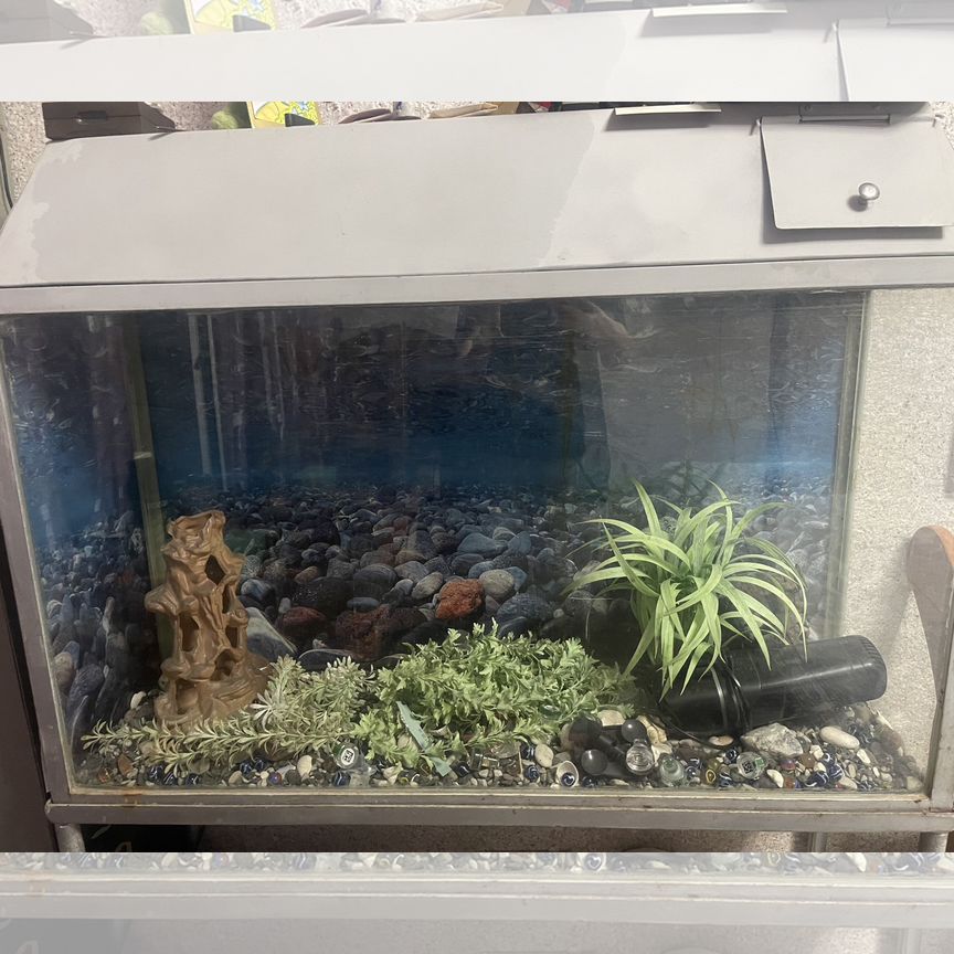 Аквариум самодельный