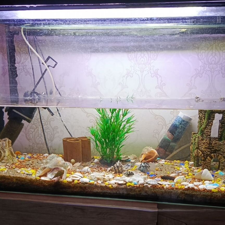 Аквариум
