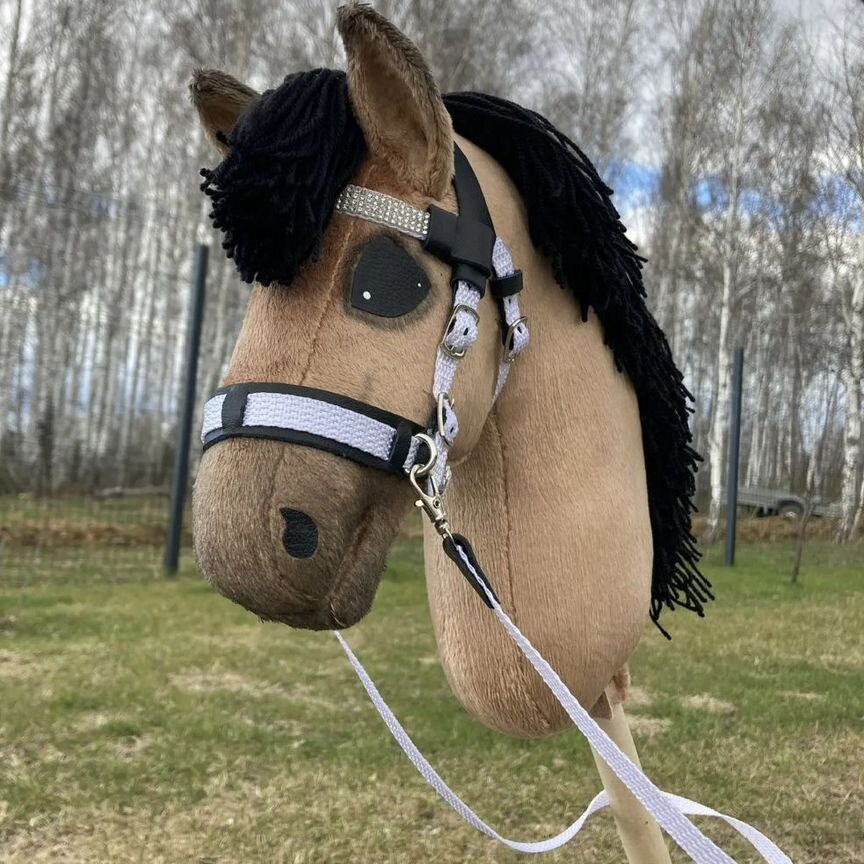Сайд пулл