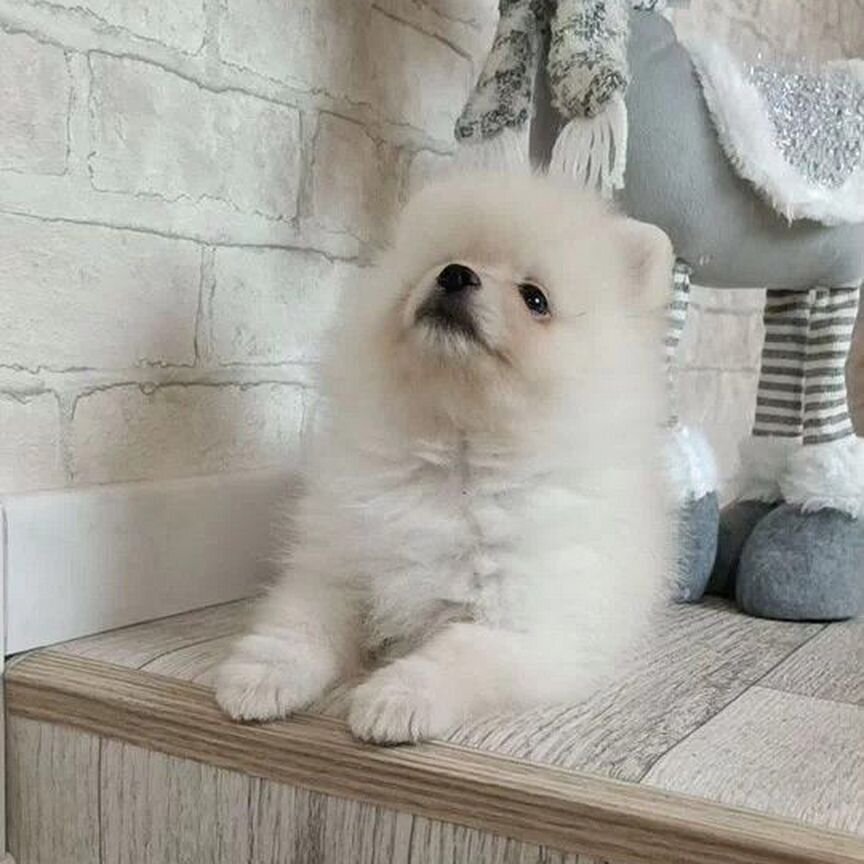 Задорный мальчишка