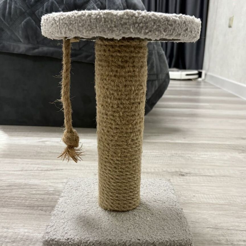 Когтеточка