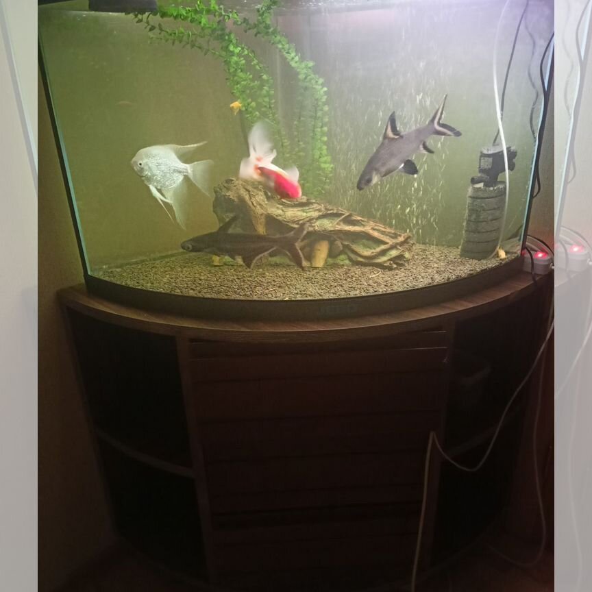 Аквариум с тумбой 190