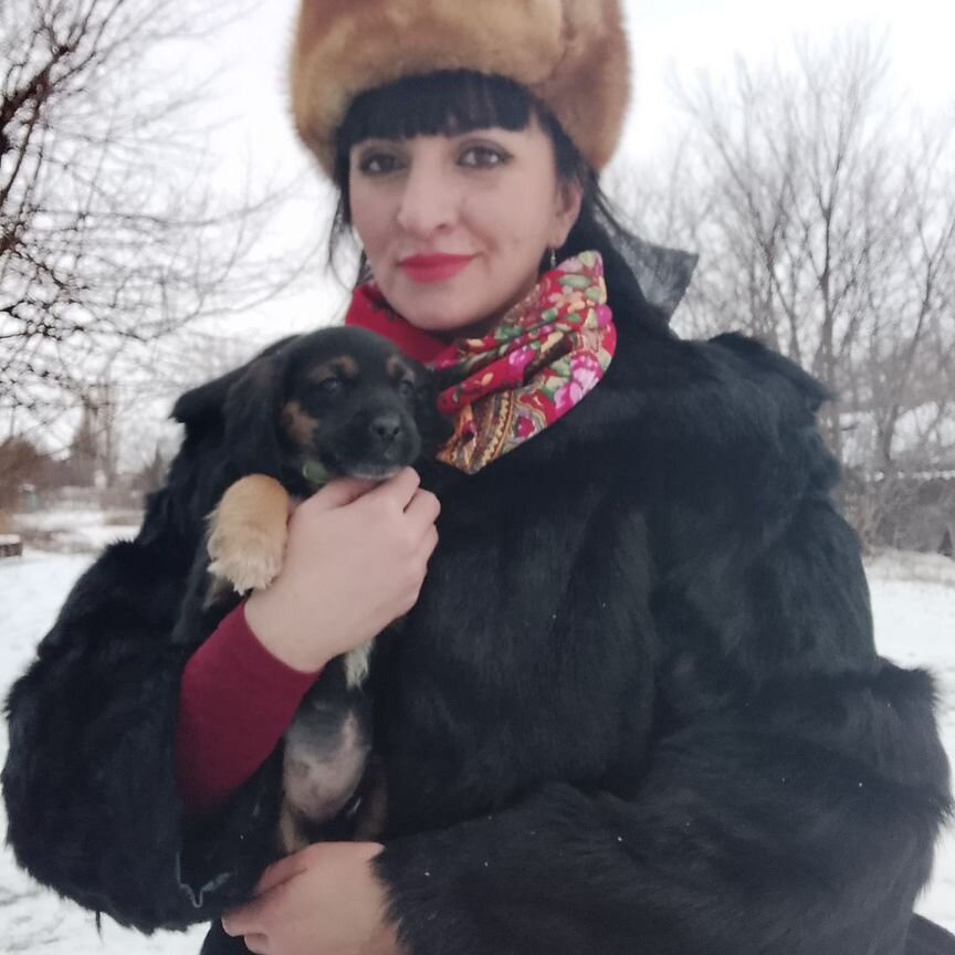 Отдам собачку, (девочка) в добрые руки