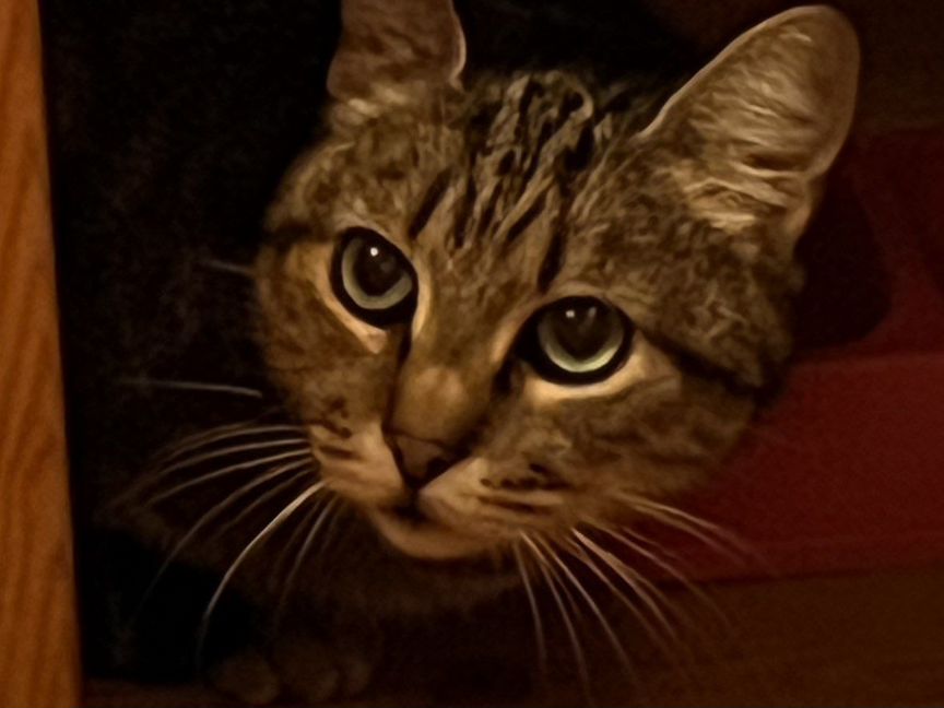 Зеленоглазка