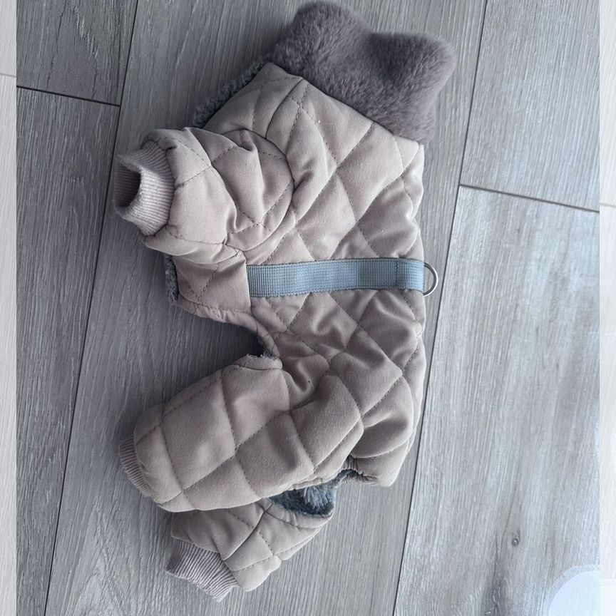 Одежда для маленьких собак