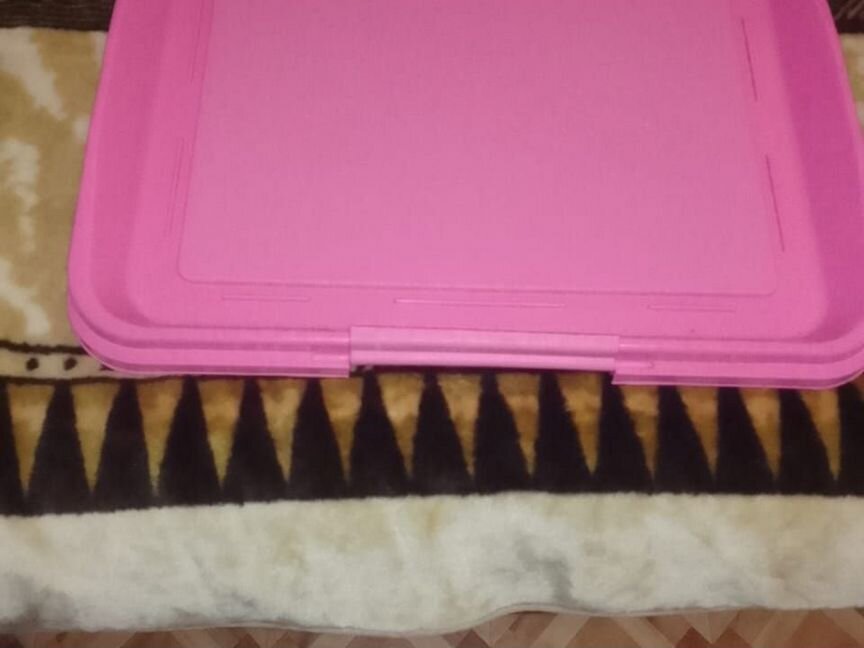 Лоток для собак