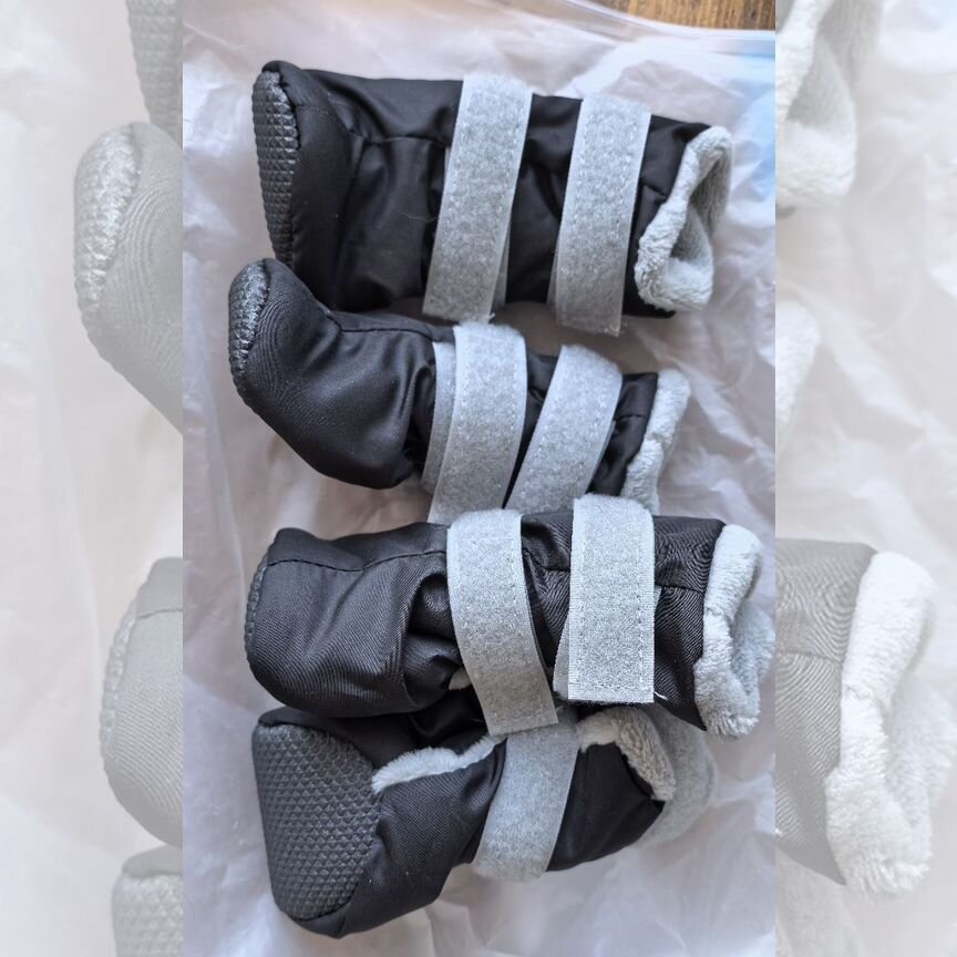 Обувь для собак